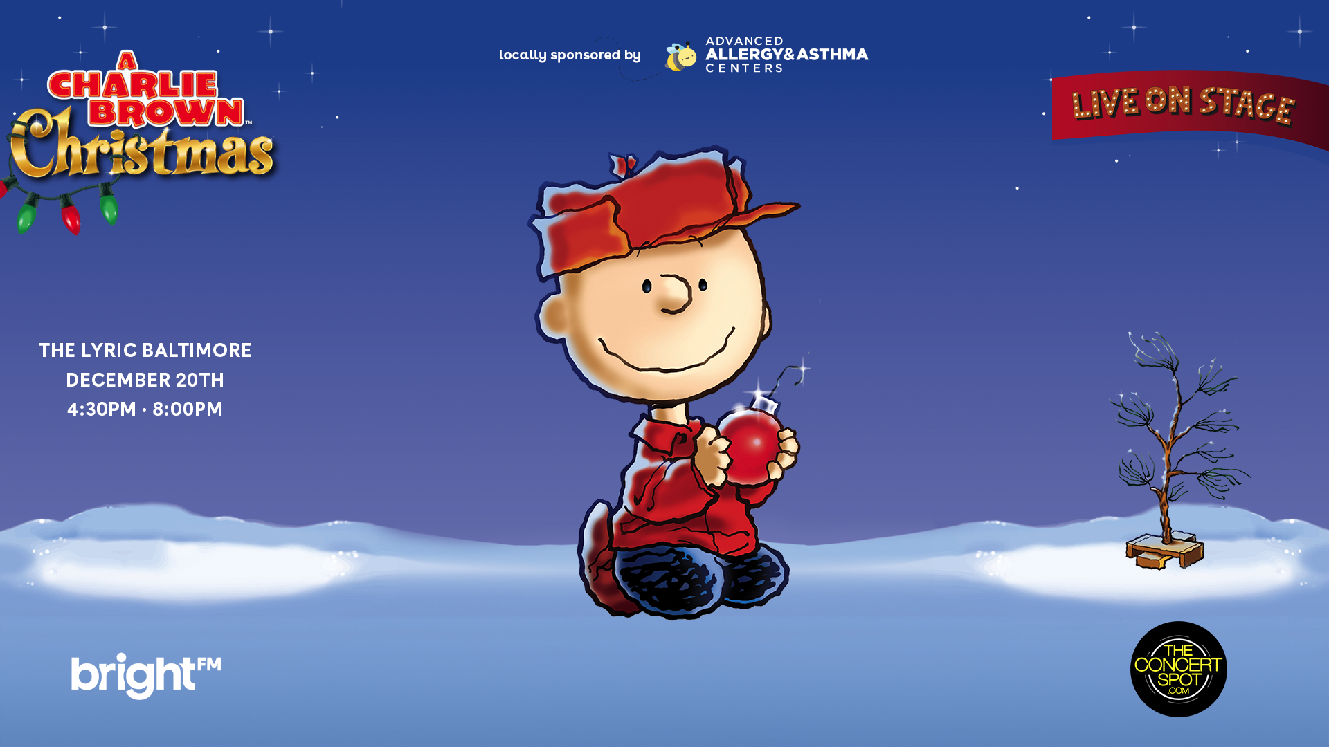 Charlie Brown Winter Hat